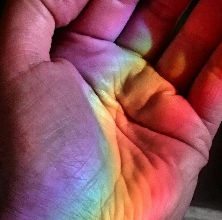 Catching rainbows | Jessie Lumb